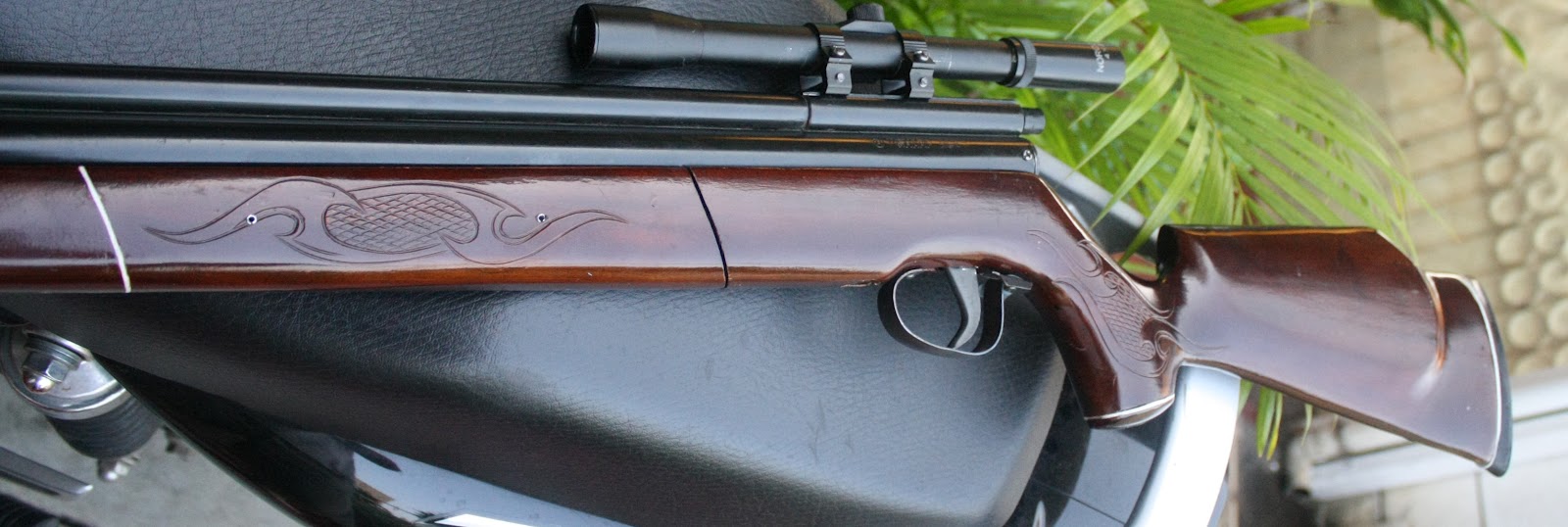 christanus: Senapan Angin Sharp Ace