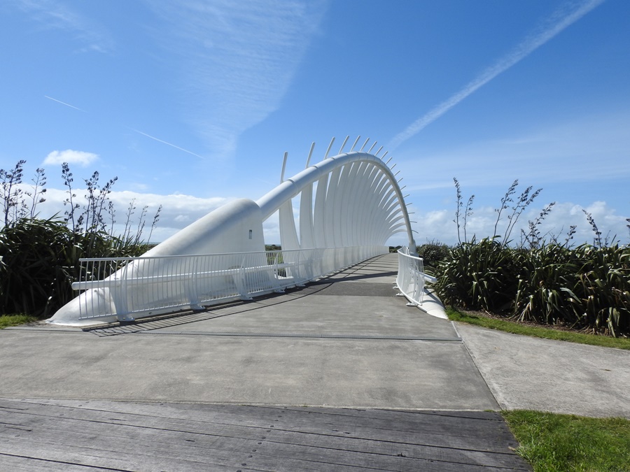 photographing New Zealand: Te Rewa Rewa Bridge