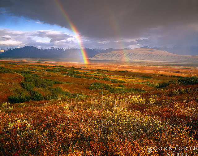 Siberian Tundra: Human Impact