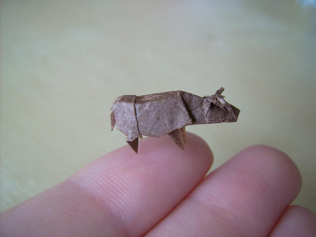 Fresh Pics: World's Smallest Origami by Anja Markiewicz