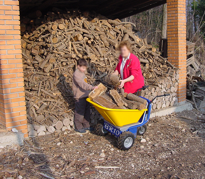 Electric wheelbarrow Zallys Brio