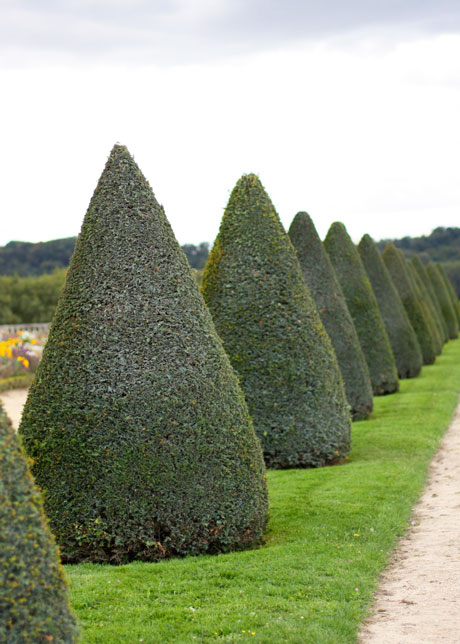 The SoHo: Exploring Versailles