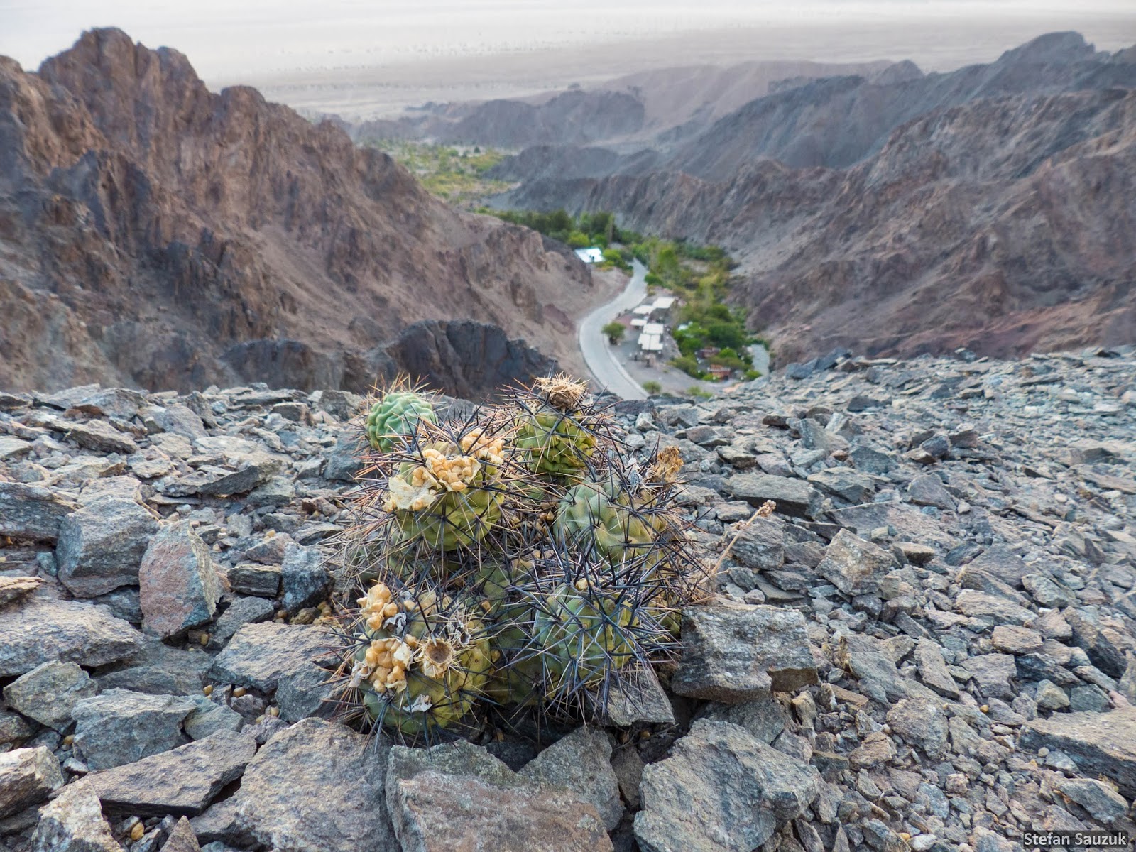 Geografía de Catamarca: Fiambalá, departamento Tinogasta