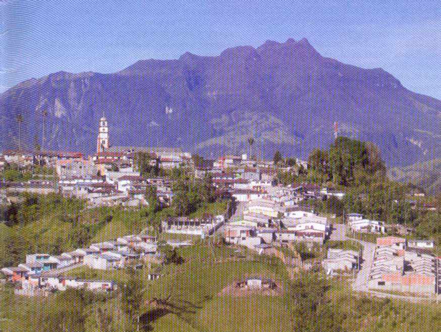 HERVEO TOLIMA