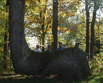 Living Archaeology - Native American Trail Marker Trees
