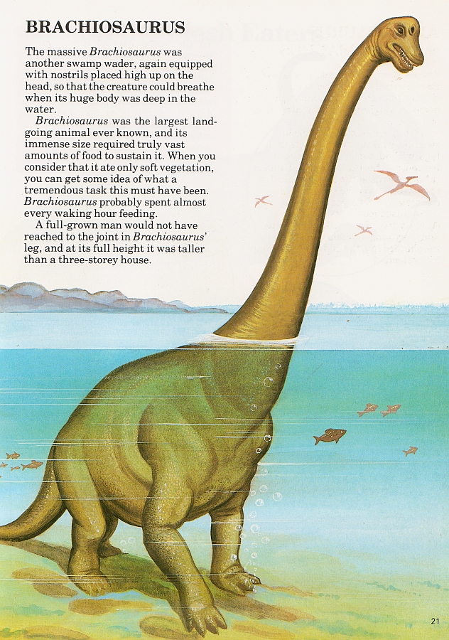 Love in the Time of Chasmosaurs: September 2013