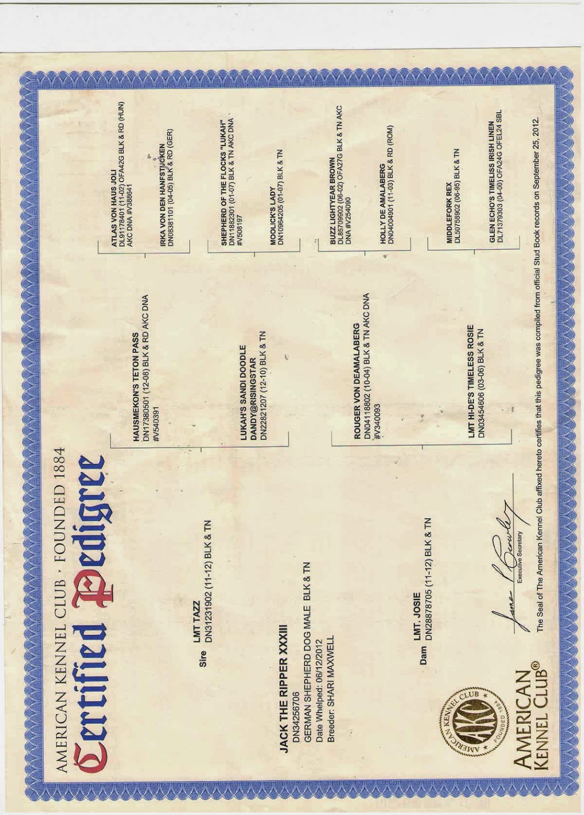 AKC german Shepherd Puppis For Sale Northwest Spokane Wa Coeur d alene ...