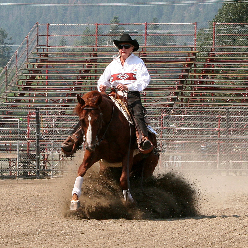 Reining Training Tips ~ ~: Stop Fix #9: Correct a Crooked Stop