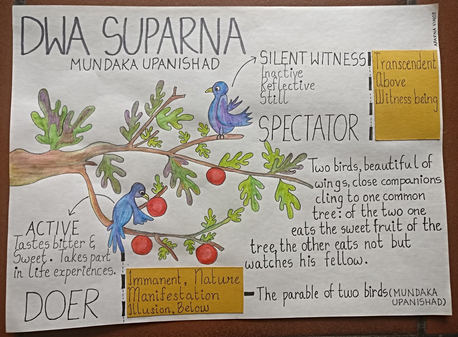 The Parable Of Two Birds