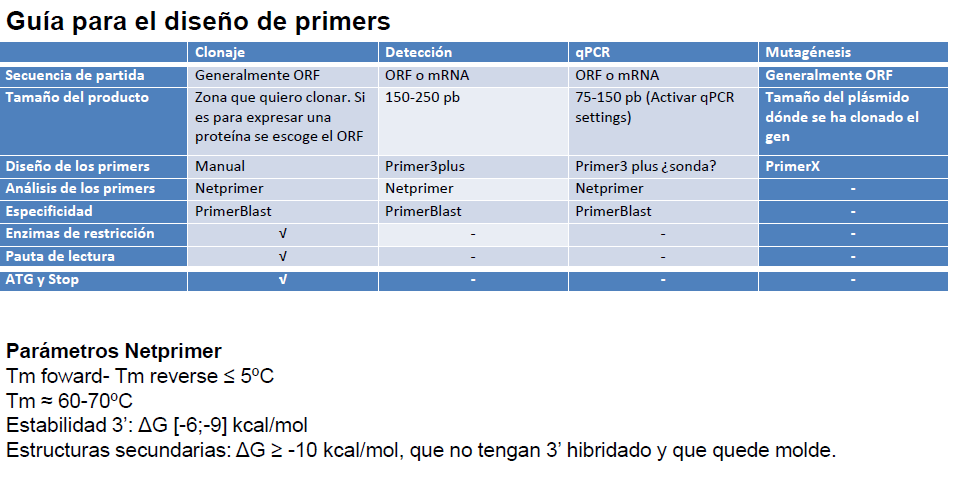 guia para el diseño de primers