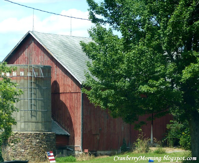 Cranberry Morning: Wisconsin Barns and Summer Squash Recipe