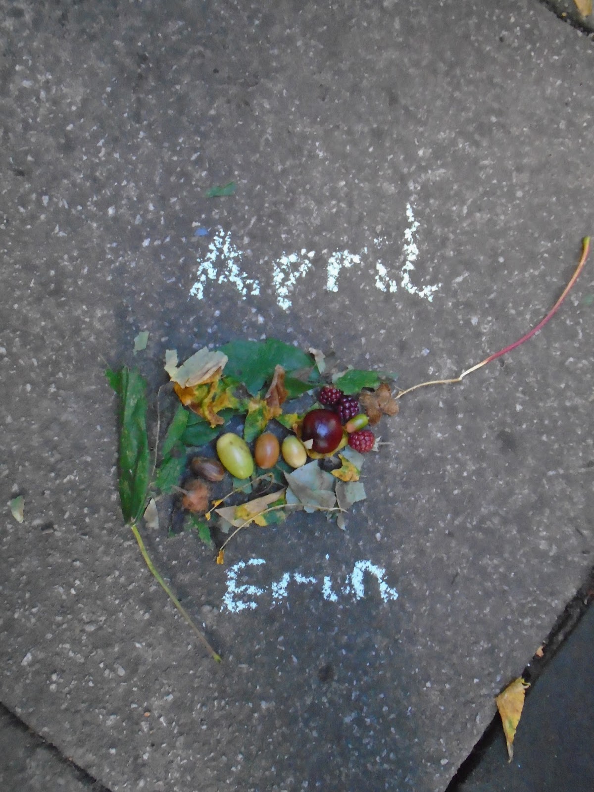 Reception Class Blog: Autumn Transient Art