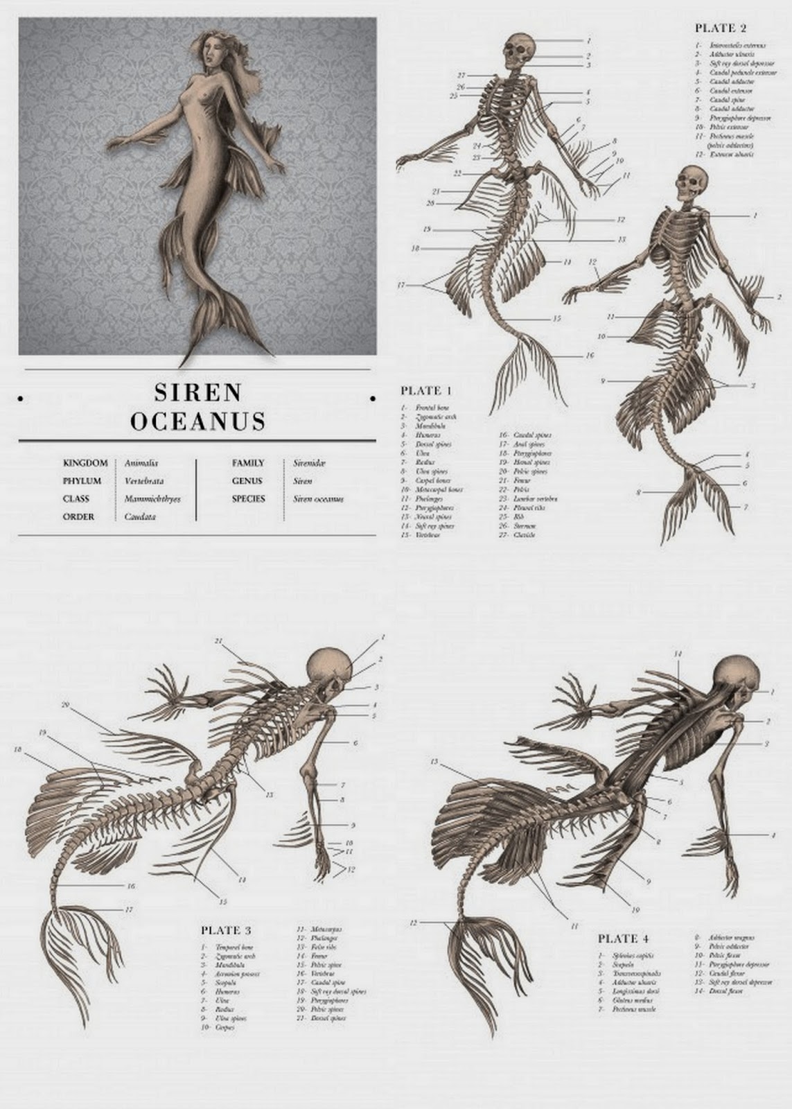 Mythical Creatures Art