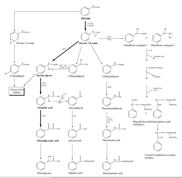 Cuma Nulis: BIOMARKER UNTUK STIRENA