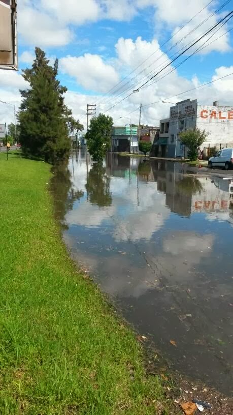 LA GENERACIÓN SIGUIENTE: [FOTOS] El Tigre de Sergio Massa, todo ...
