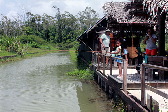 Through the Lens of Judith Redmount: My Trip To the Clevia Park ...