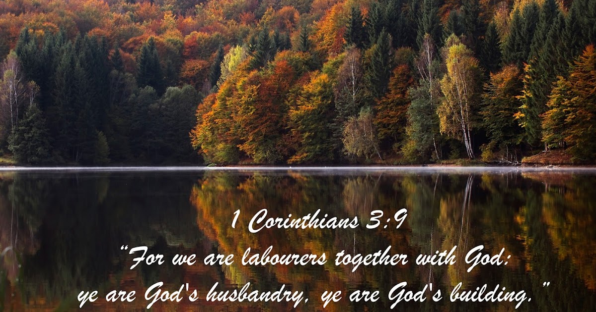 Verses and Hymns - 1 Corinthians 3:9, Romans 12:12 and Just As I Am