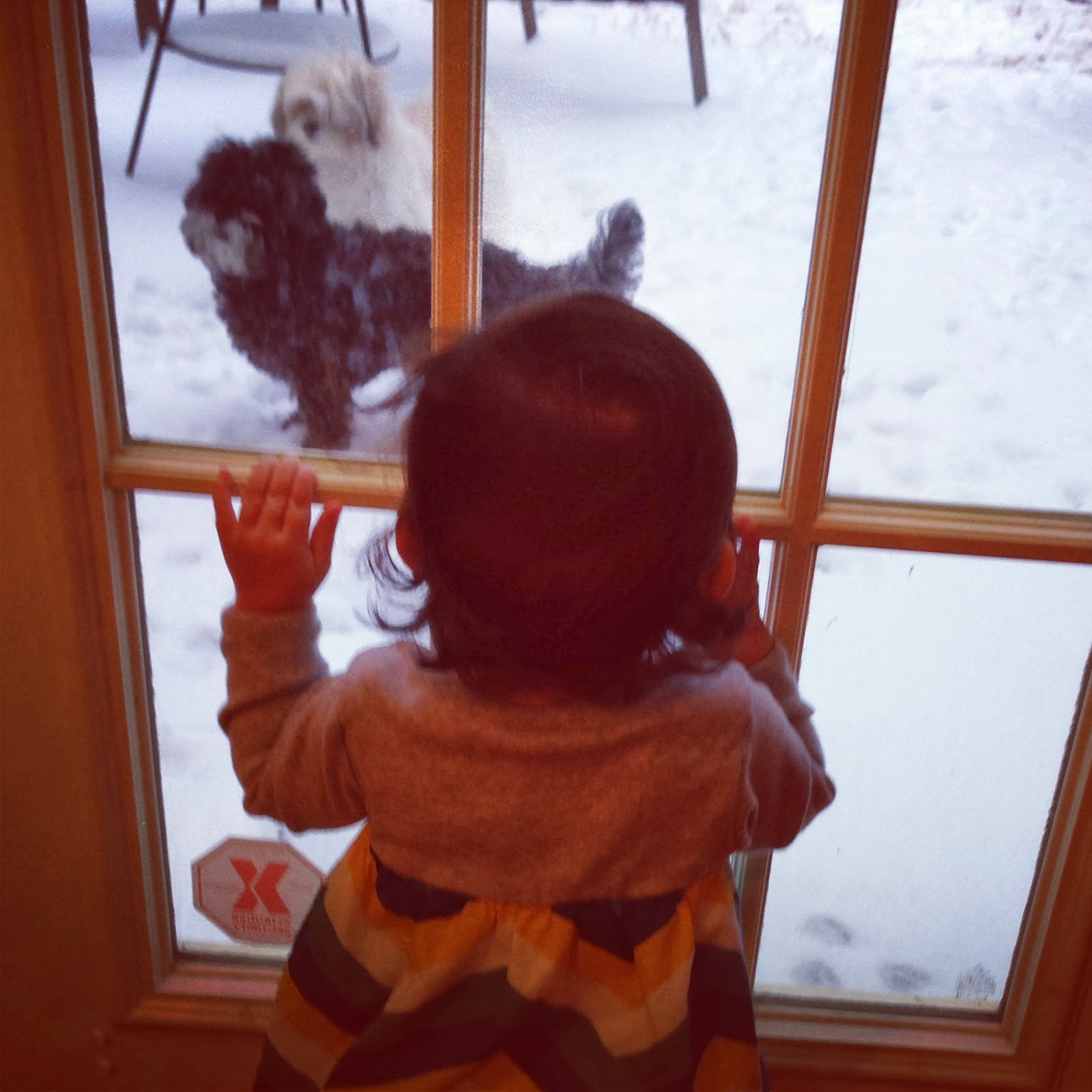 Fitting Back In: How Atlanta's Carmageddon/Snowpocalypse Impacted Us