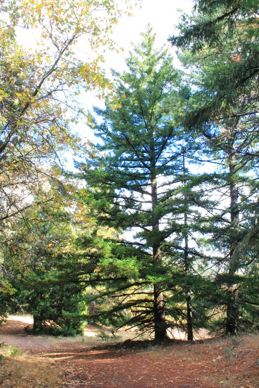 Eye On The View: Sanborn County Park II - Summit Rock Loop Trail