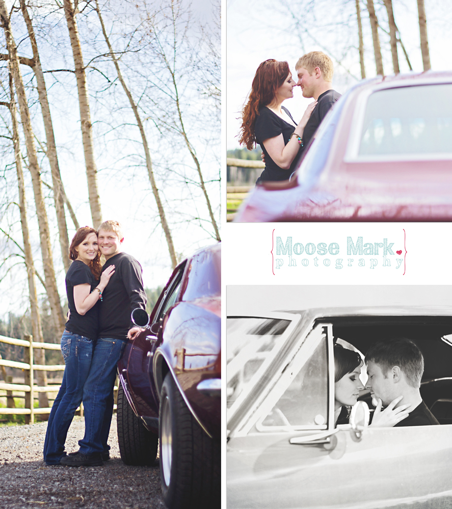 Moose Mark Photography