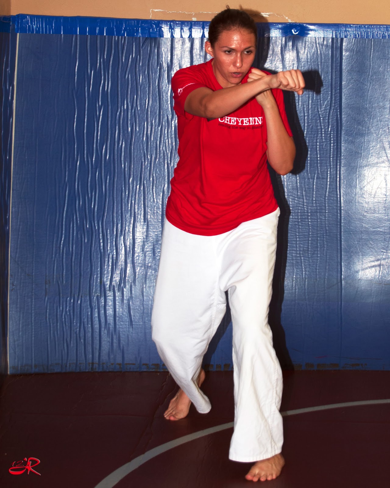 Jacque Russell Imagery: MMA Fighters ~ Wyoming Photographer