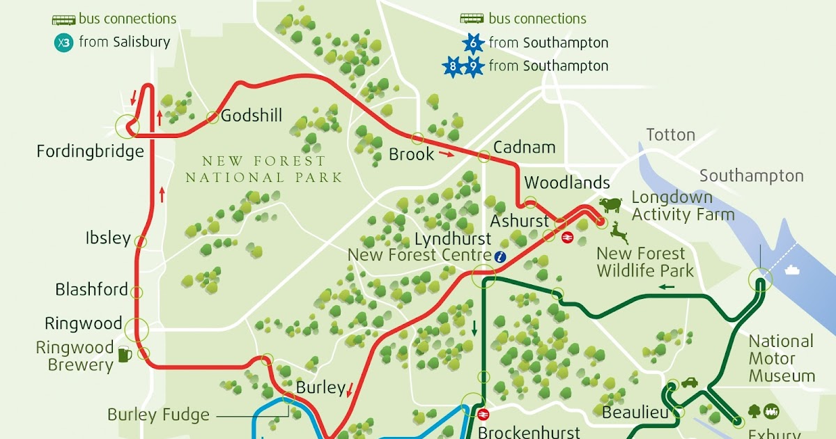 Southampton Bus Update: New Forest Tour / First price freeze / 46 to go