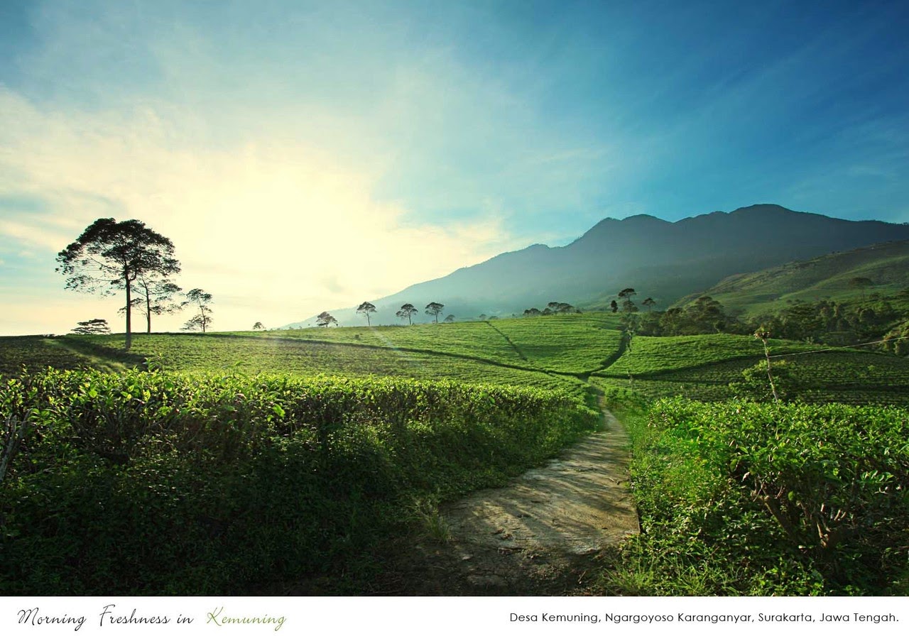 Tragedi di Gunung Lawu | Sang Penakluk Dunia