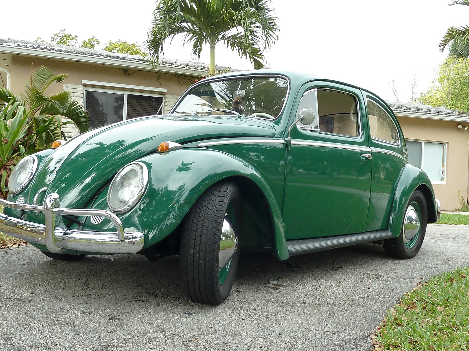 Ricksty's VW's: 59 VW Beetle, Sold!!