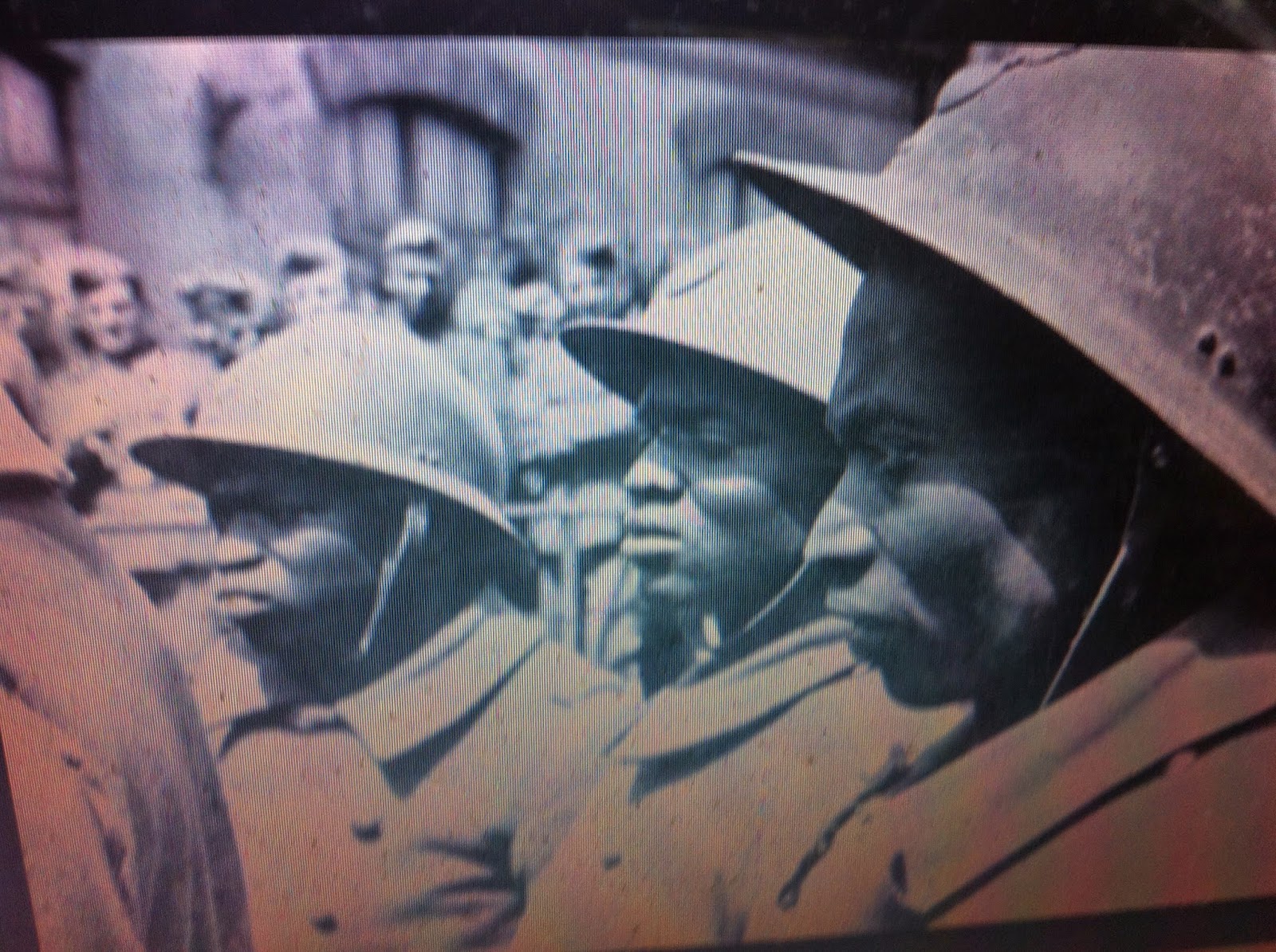 THE BLACK SOCIAL HISTORY:: BLACK SOCIAL HISTORY BLACKS IN THE FRENCH ...
