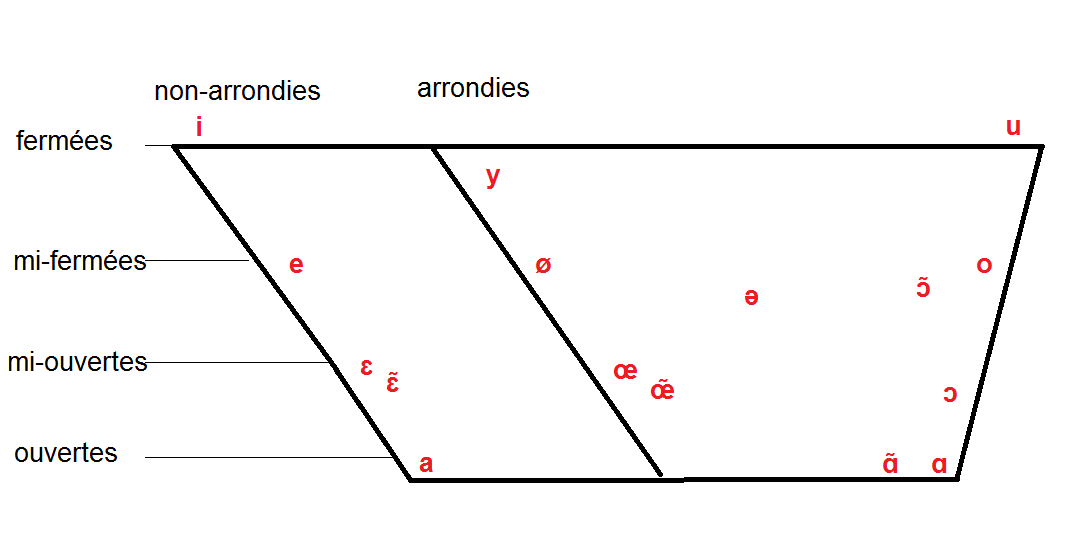 La phonétique du français – Voyelles – Cartes GRATUITES