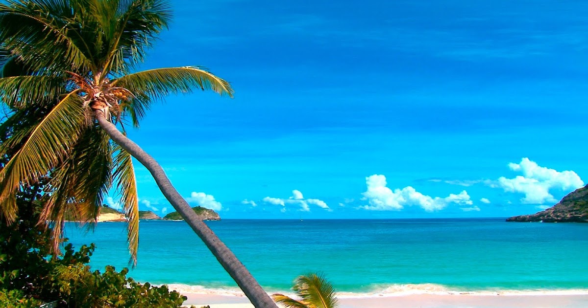 7 Fakta Unik: 7 PEMANDANGAN INDAH BAWAH LAUT