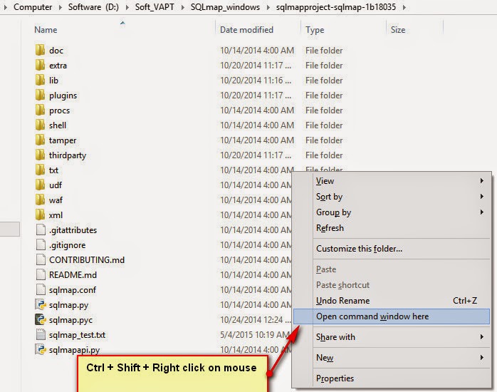 Different ways to use sqlmap