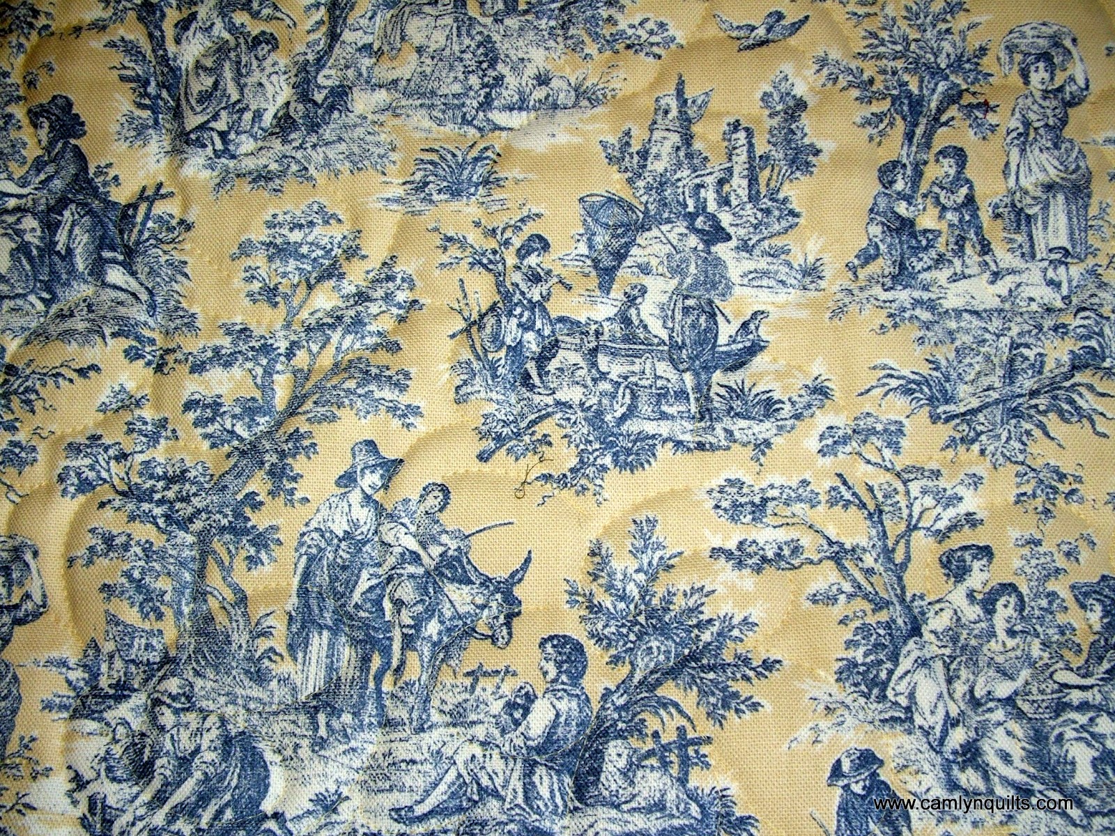 Camlyn Quilts: Sue and Lynn's quilts