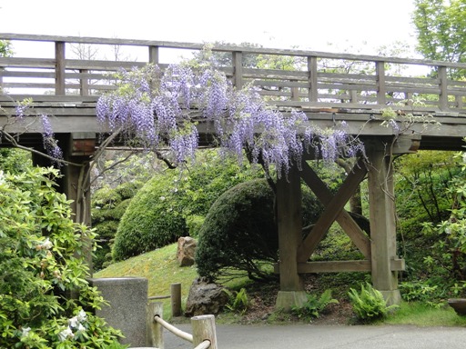 Diana Forman-Friedman: San Francisco, our last day