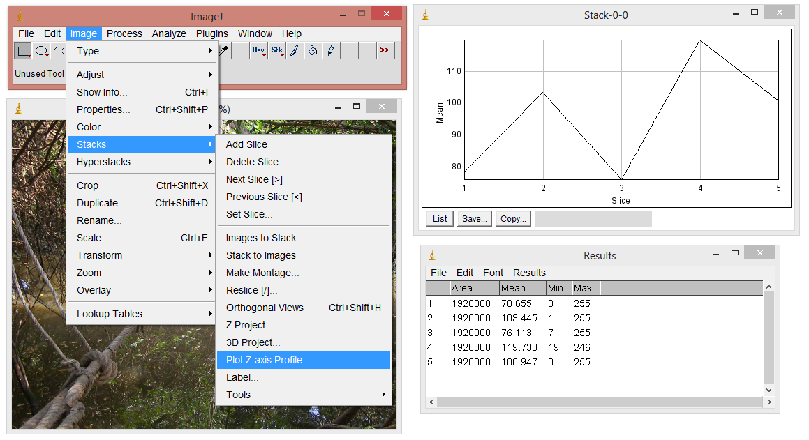 My imageJ: Stacks, Virtual Stacks and Hyperstacks