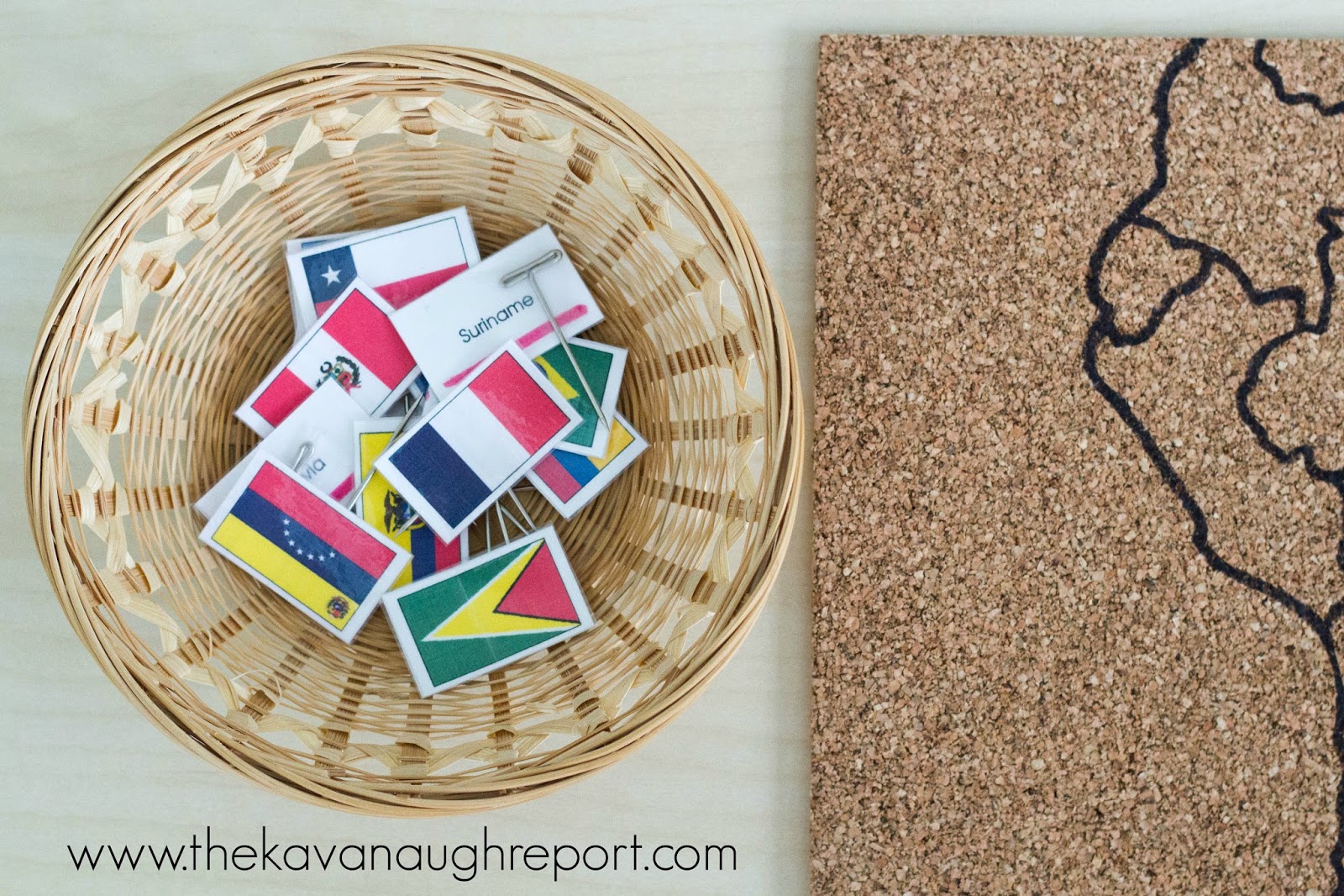 DIY Montessori Flag Pin Map