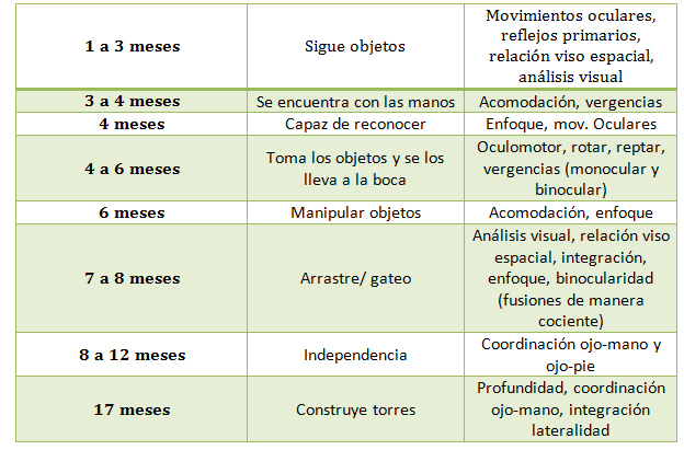 Percepcion Visual: Importancia del gateo y habilidades de relación ...