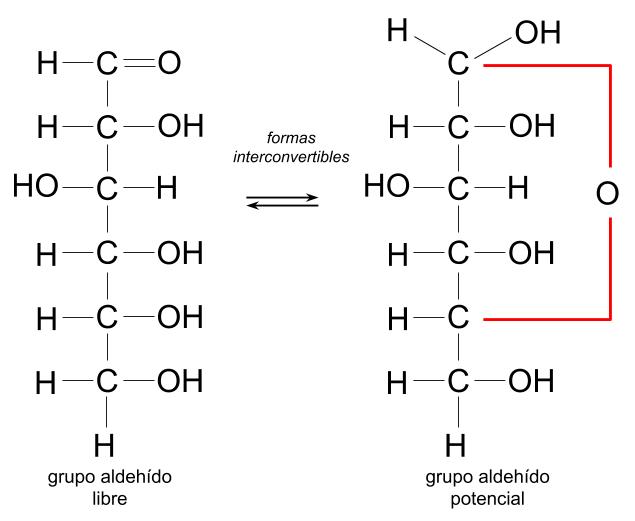 Química Sexto: Poder reductor