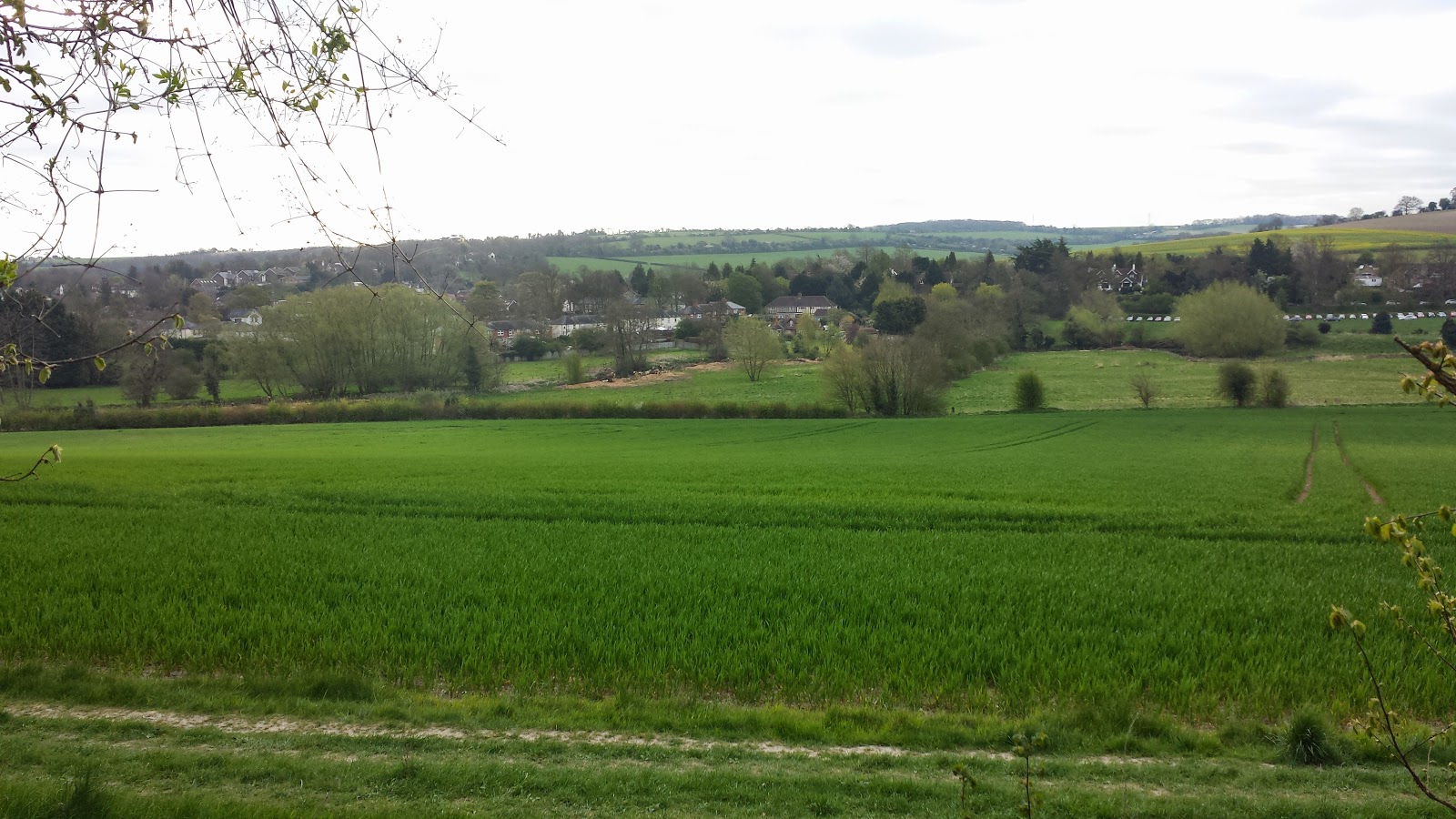 blog7t: Darent Valley 10k 2015