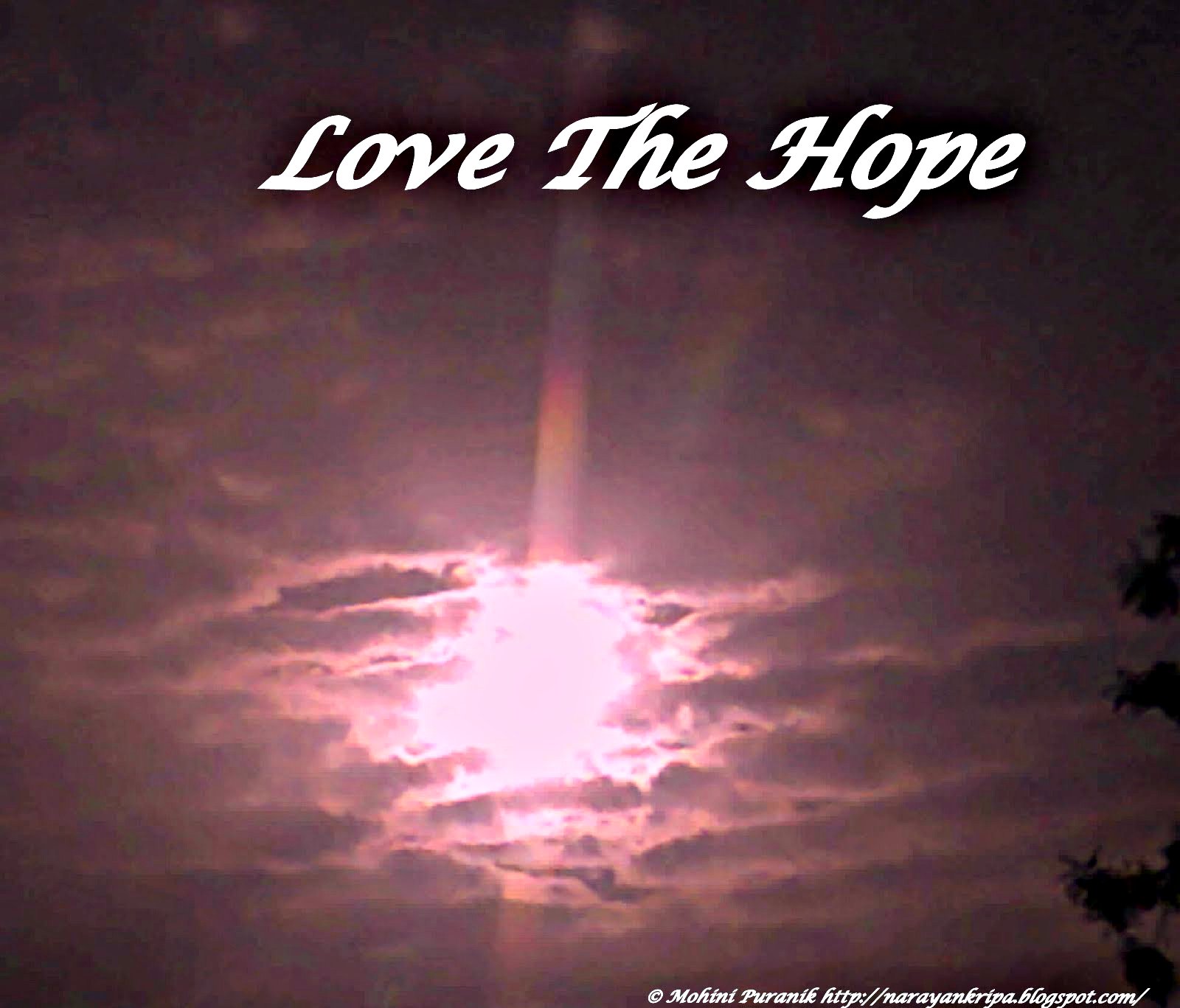 Love - The Hope