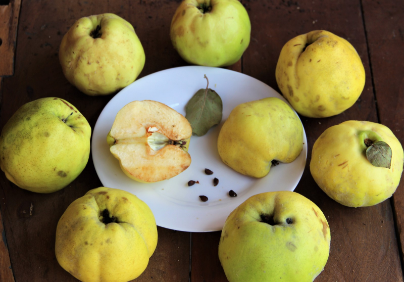 .: Marmelo Festival uses more than 800 kg of fruit in soup and ...