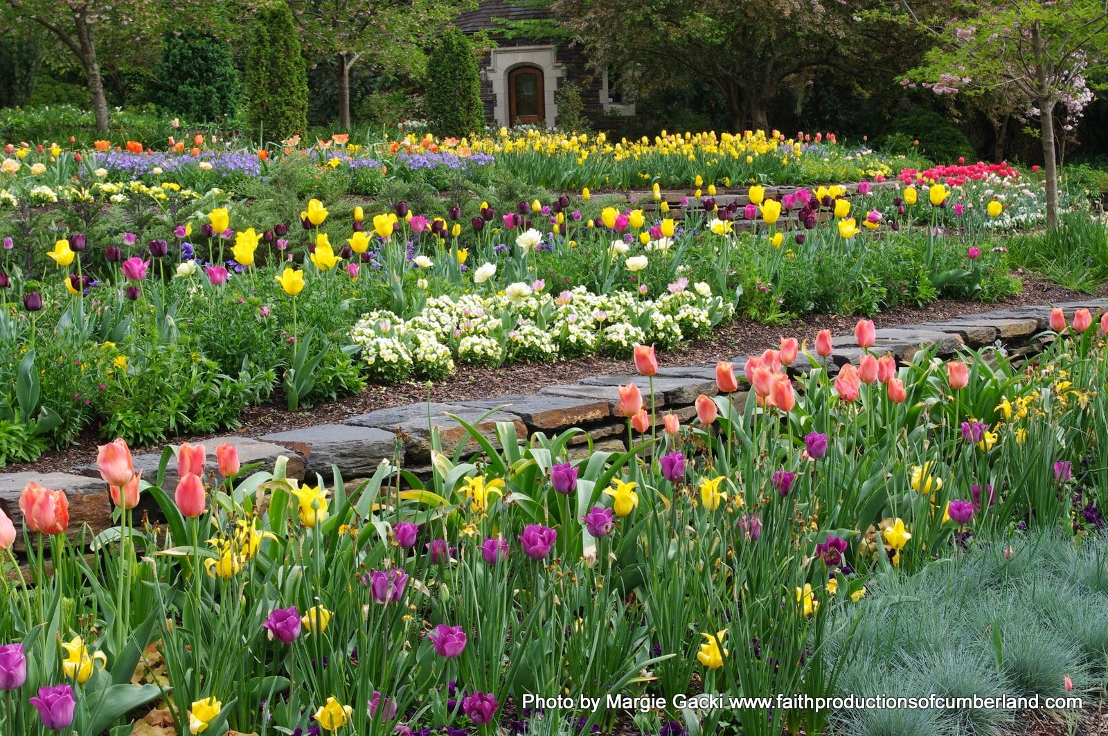 Through My Lens: North Carolina in the Spring