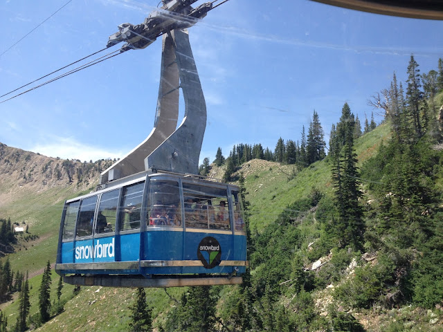Mommy Vignettes: Snowbird Tram & Hike