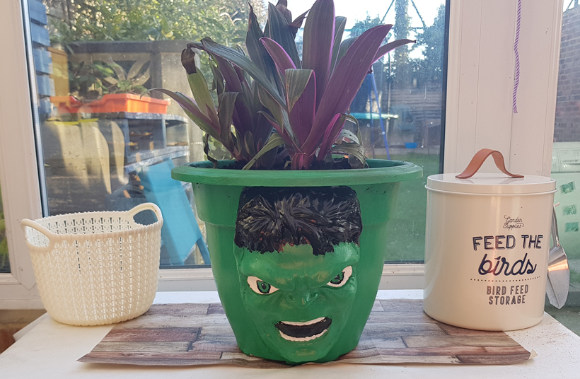 The Day I Made Hulk Into A Plant Pot - Lifestyle & DIY blogger with a ...
