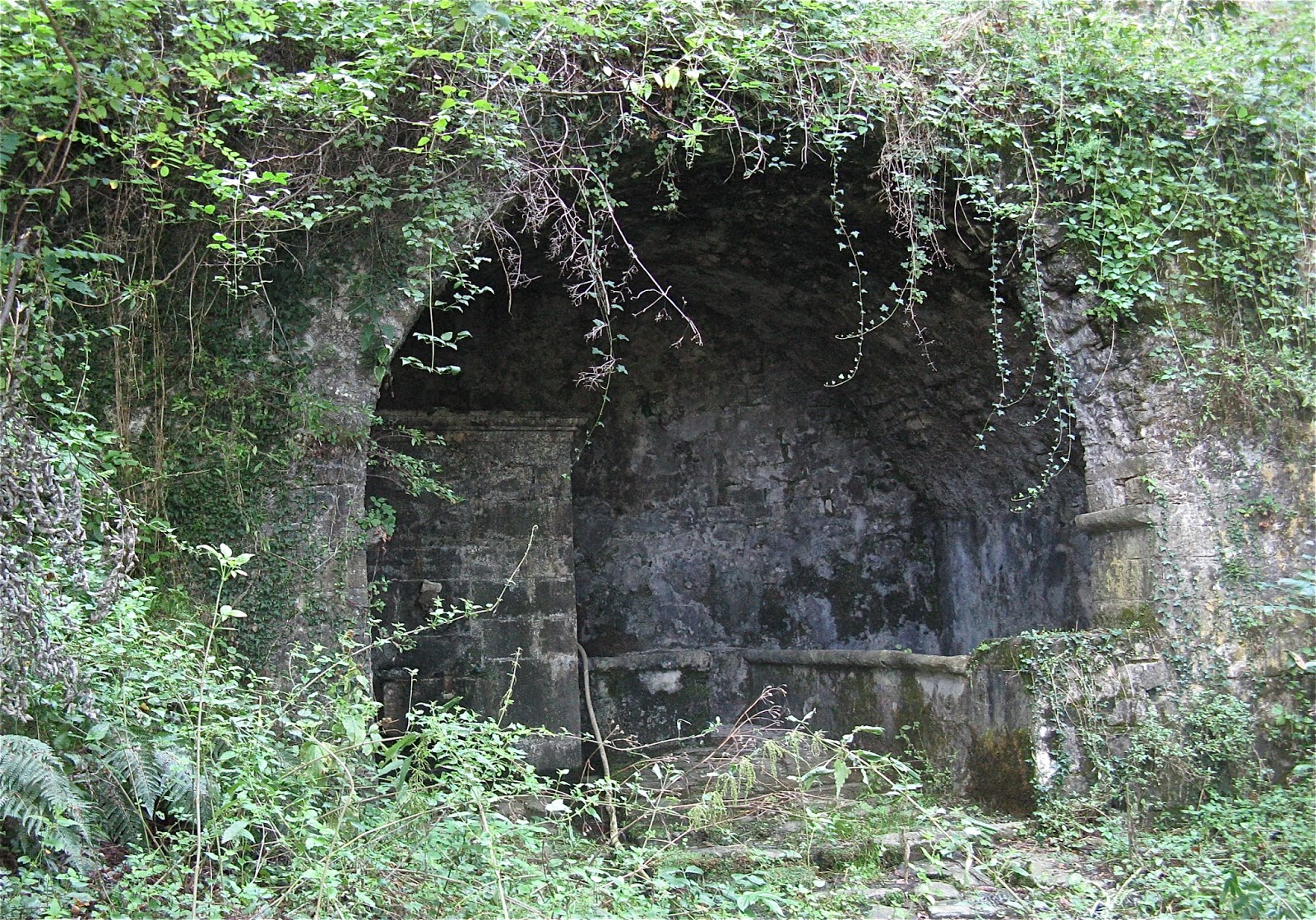 Ricordi: NOTIZIE SULLA FONTE DI REULI - PIEVE DI CONTRONE - 1838