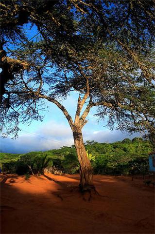 nattarquitectura: Practica de Arquitectura