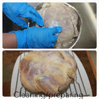 A Homeschool Moms Journal : Mummifying a Chicken