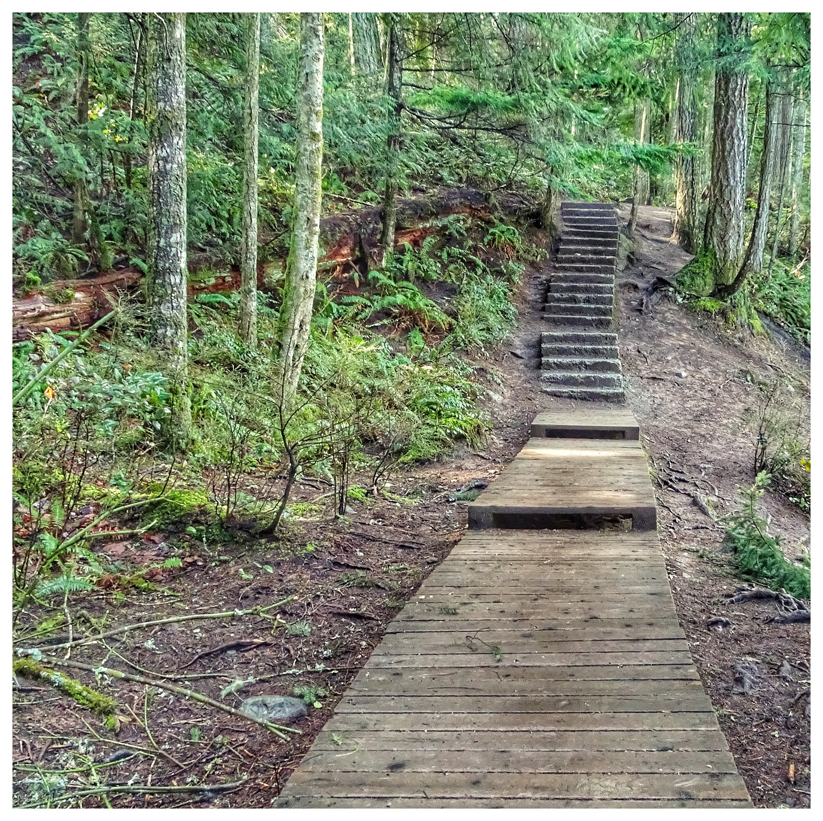 20+ Parks in Nanaimo: Colliery Dam