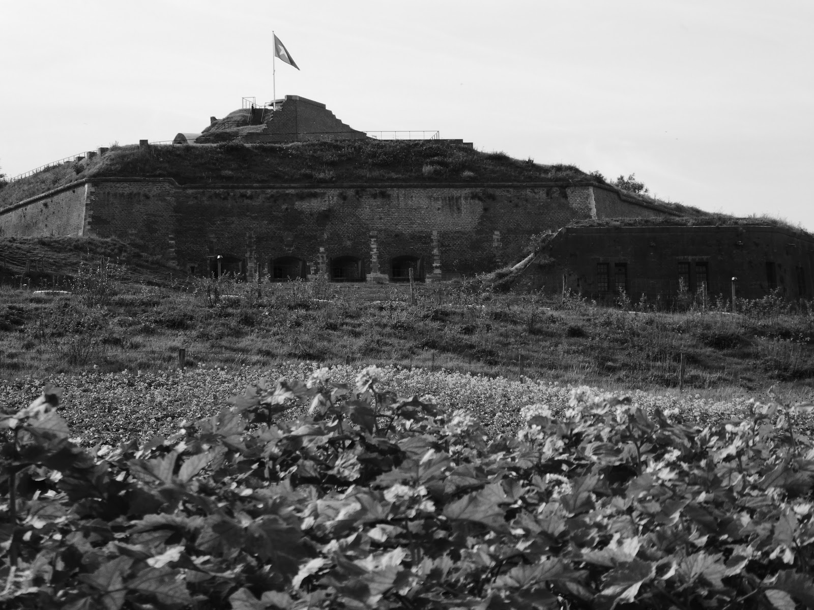 joachimartist: sunny Mount Saint Peter (NL)