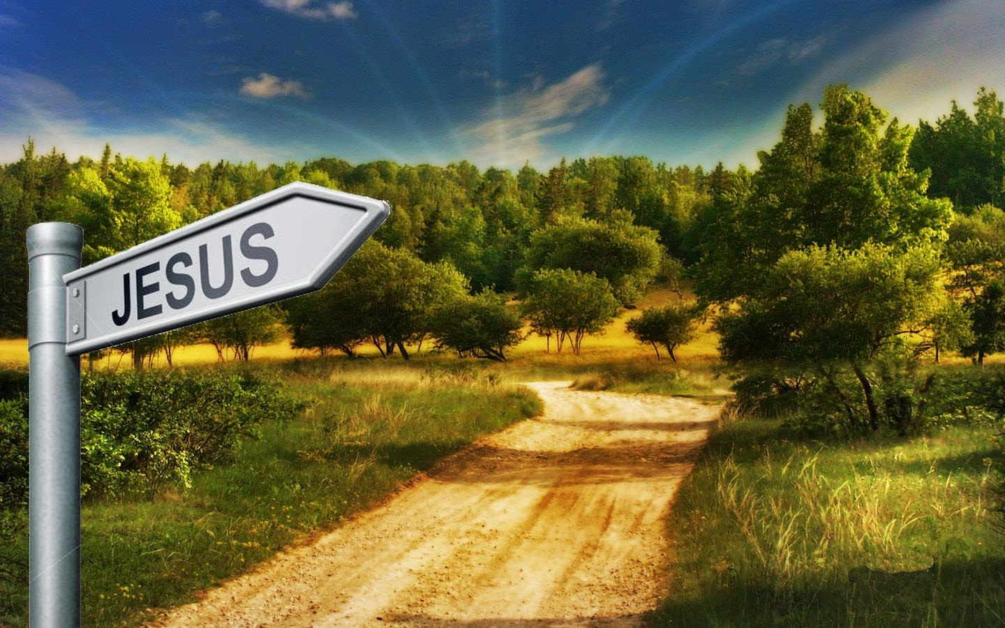 Catequese Santa Isabel: Leitura do dia: "Como podemos conhecer o ...